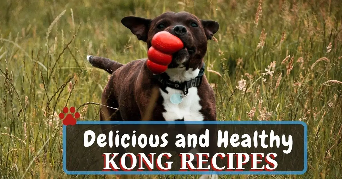 9 Kong Stuffing Recipes Ideas Your Dog Will Enjoy In 2025