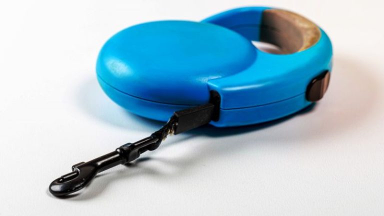 5 Best Longest Retractable Dog Leashes For Pet Owners